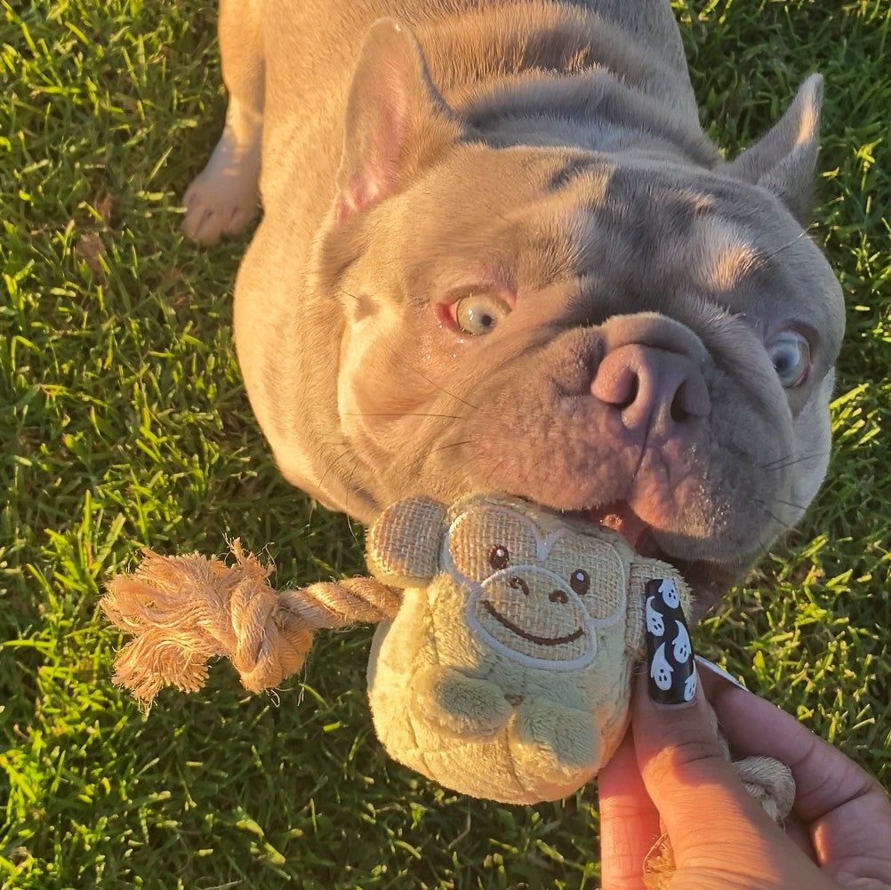 Mini Hemp Dog Toys – Petique, Inc.