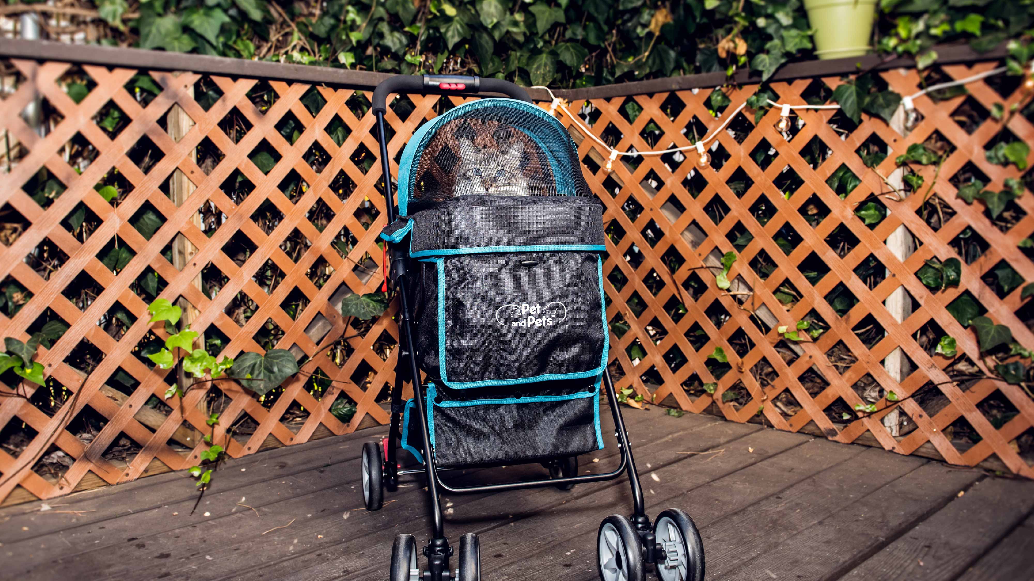 Cat Pet Strollers – Petique, Inc.