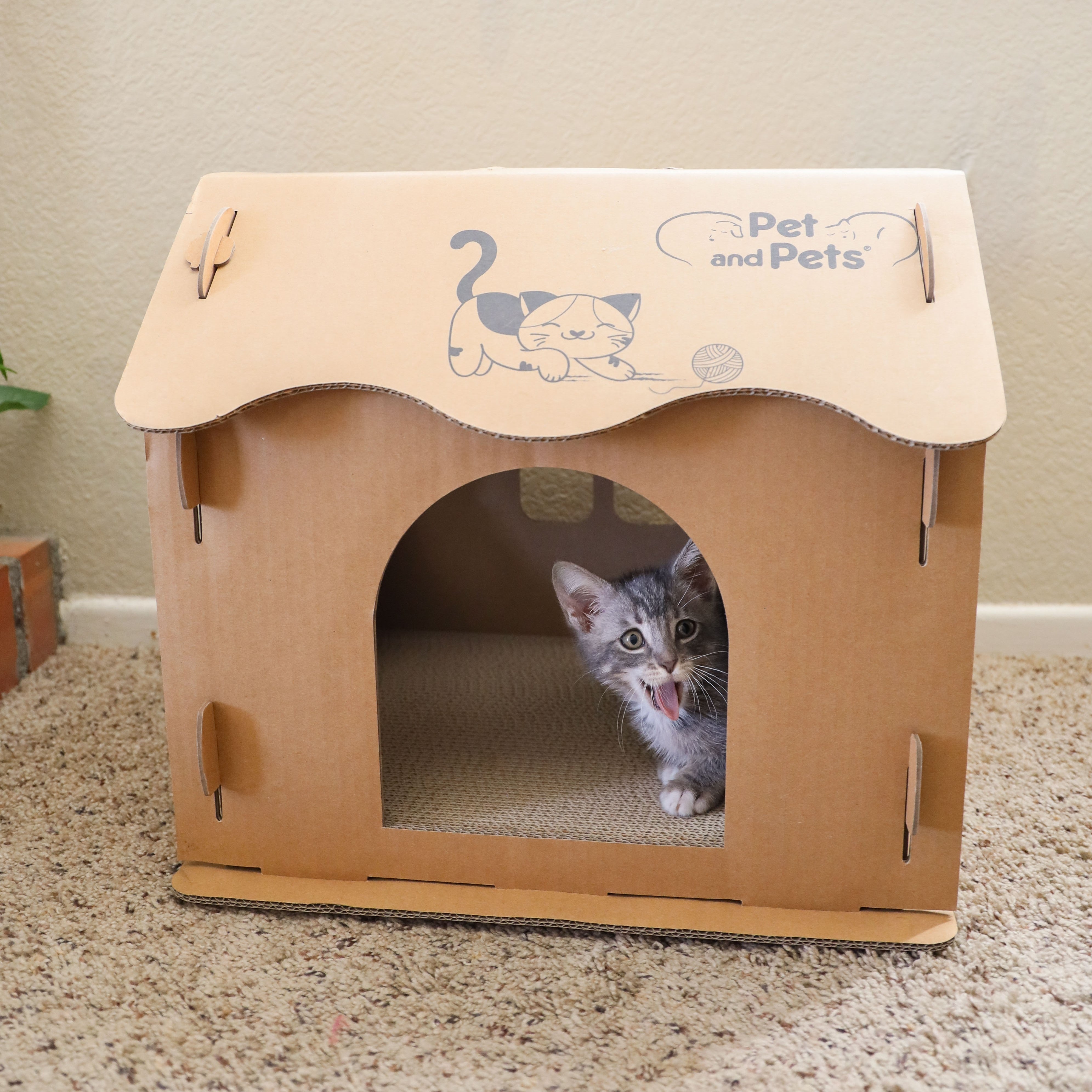 Best Cat Products – tagged "pet house" – Petique, Inc.