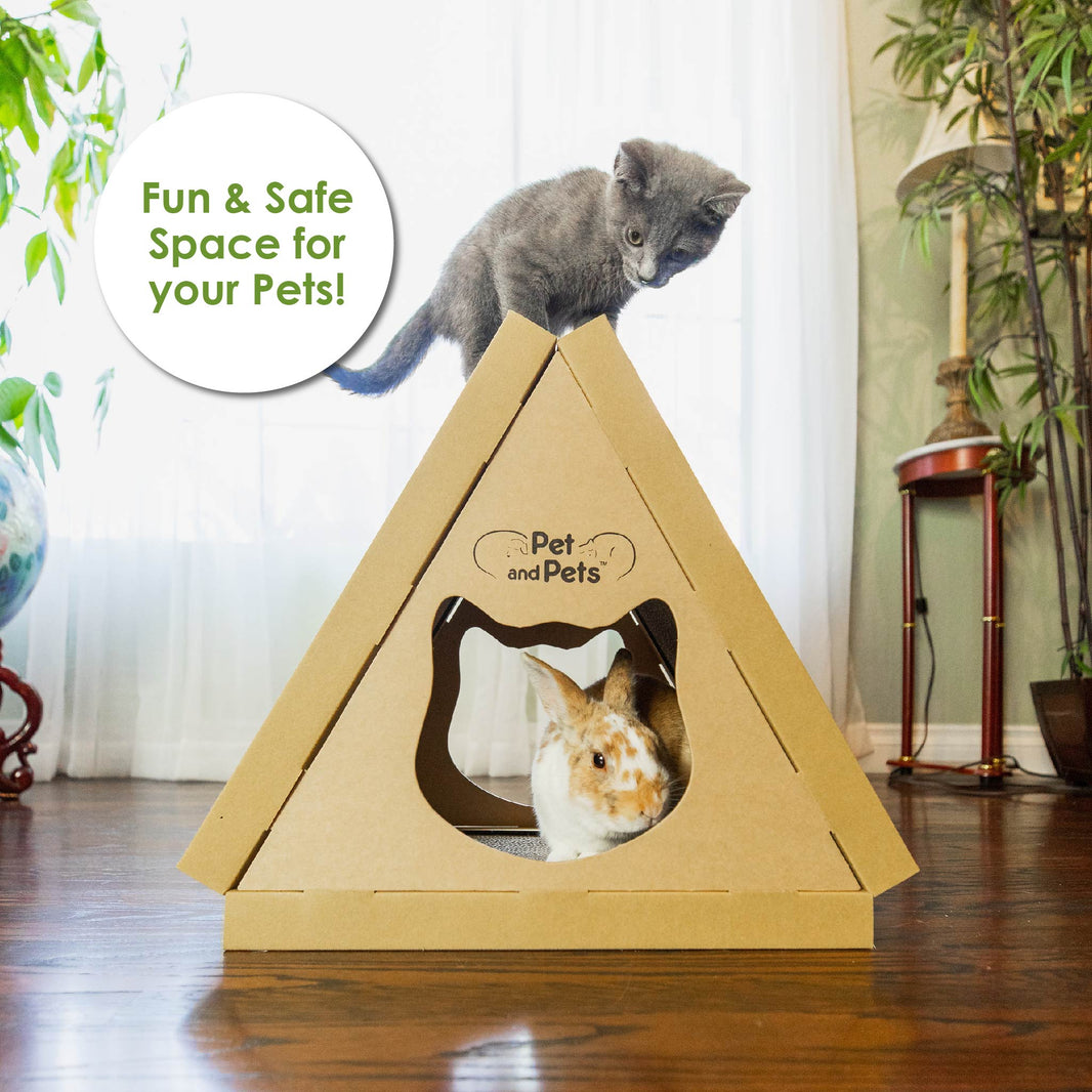 Best Cat Products – tagged "pet house" – Petique, Inc.