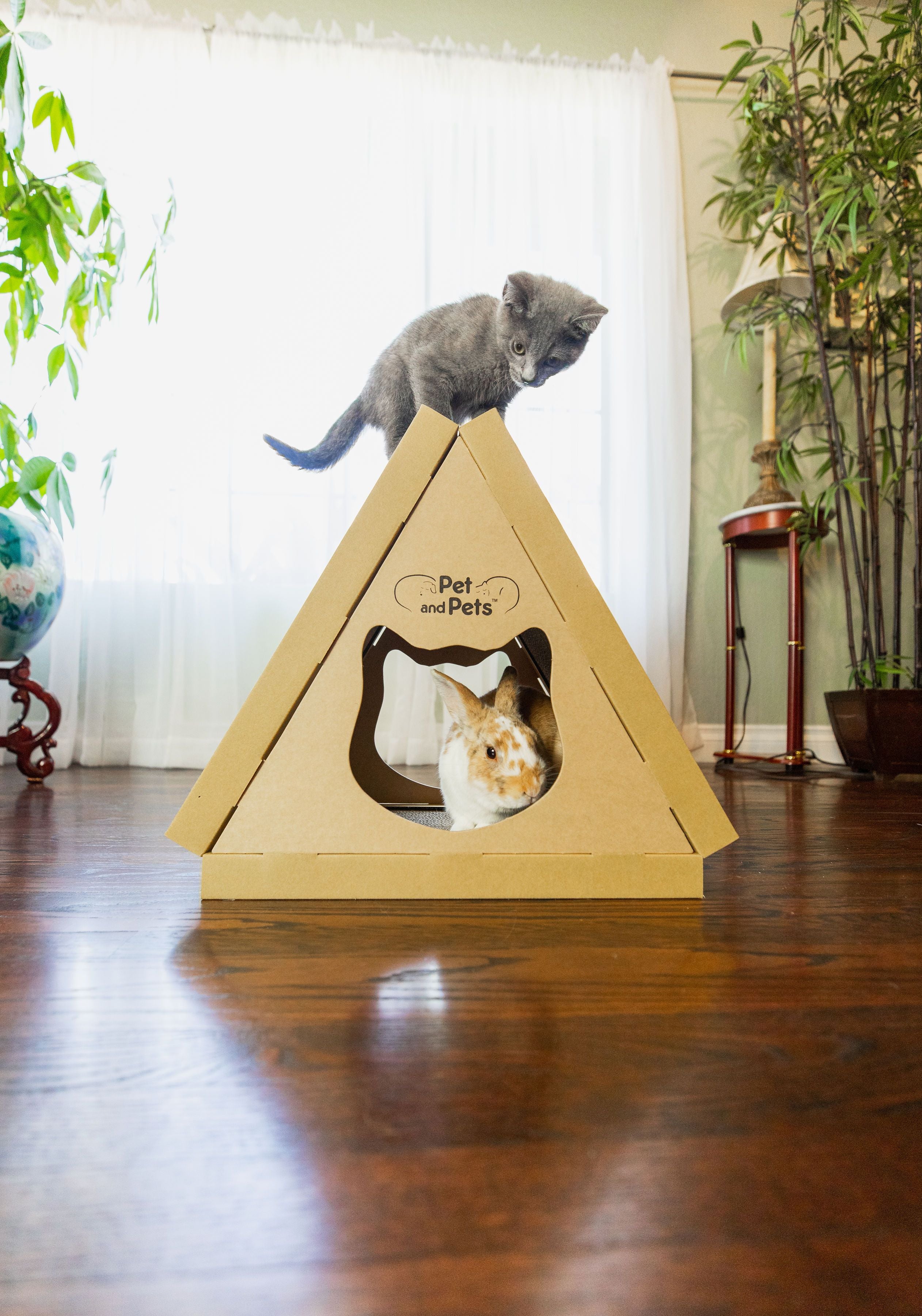 Best Cat Products – tagged "pet house" – Petique, Inc.